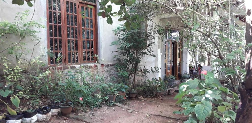 Kon Tree Shade, Dambulla (updated prices 2025)