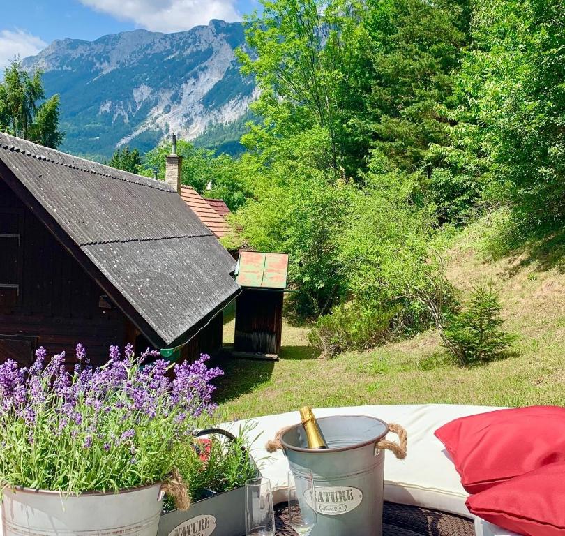 Newly renovated house Reichenau nature reserve - Austria