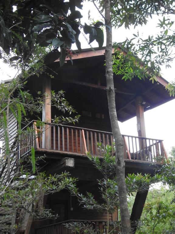 Wilpattu Tree House, Wilpattu – Updated 2023 Prices