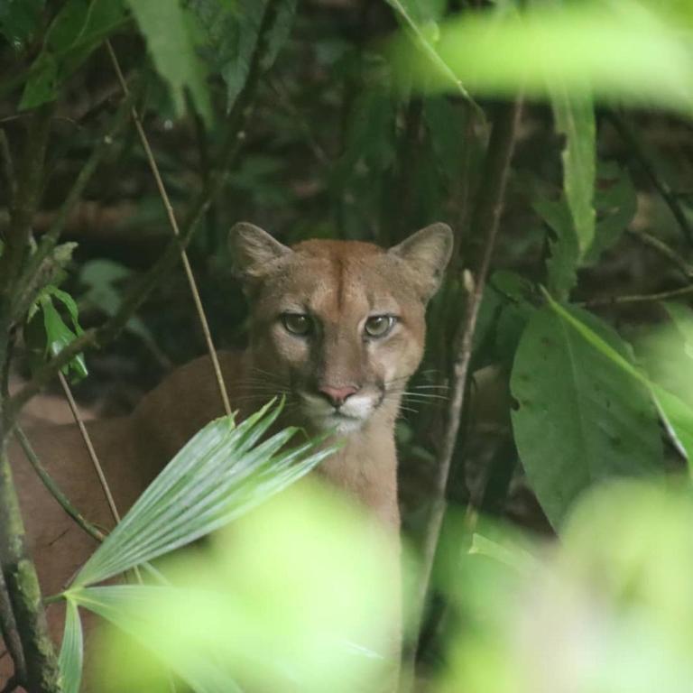 Finca la Bonita, Playa Carate, Carate – Updated 2022 Prices