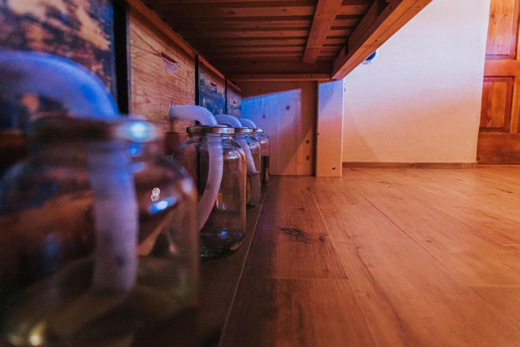 Sleeping with bees - Tourist farm Muha, Grosuplje (updated prices 2025)