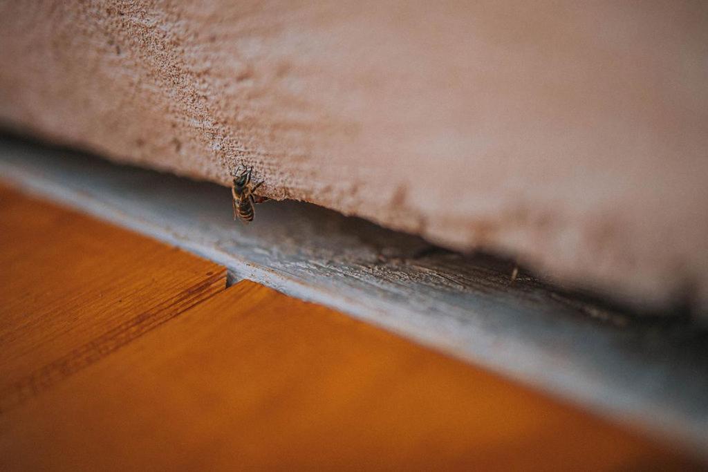 Sleeping with bees - Tourist farm Muha, Grosuplje (updated prices 2025)