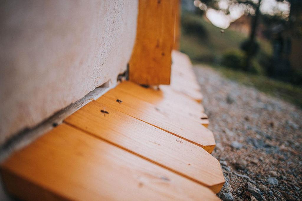 Sleeping with bees - Tourist farm Muha, Grosuplje (updated prices 2025)