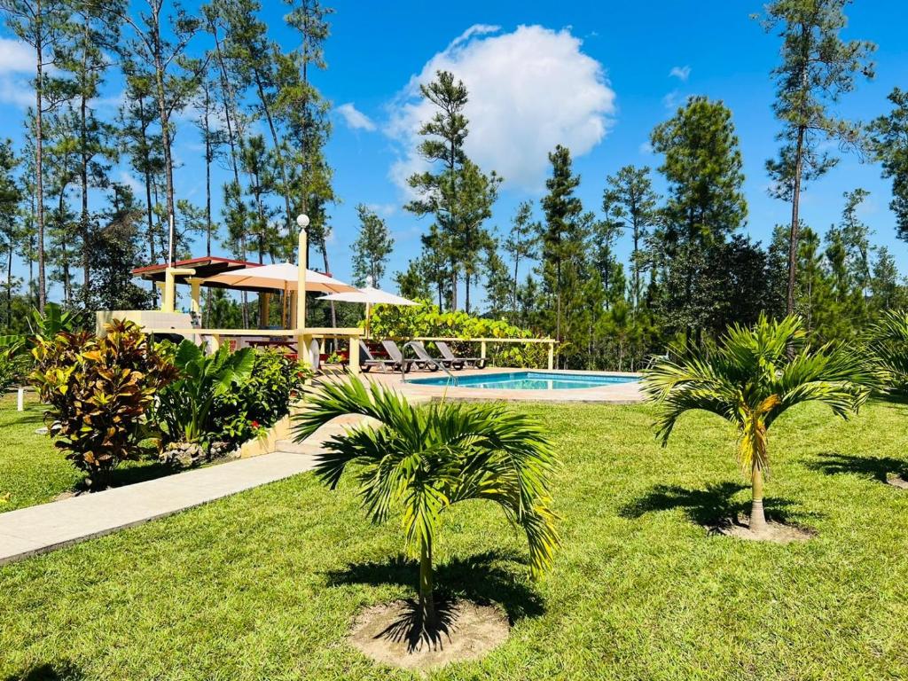 Kane Villas - Mountain Pine Ridge, San Ignacio (aktualisierte Preise ...