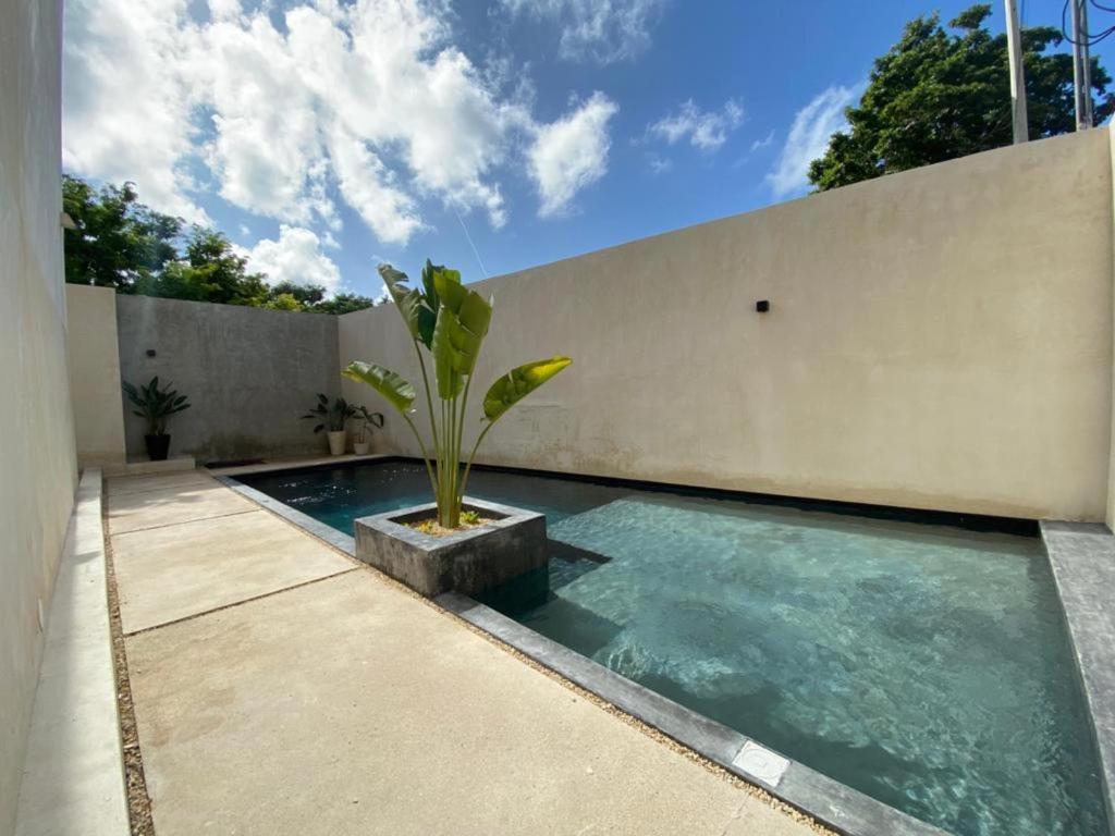 Zen Tulum, Tulum (updated prices 2026)