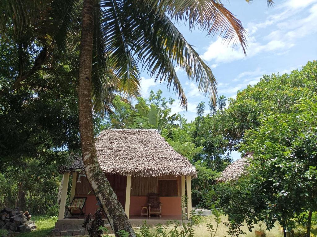 Onja Surf Camp, Mahambo (updated prices 2026)