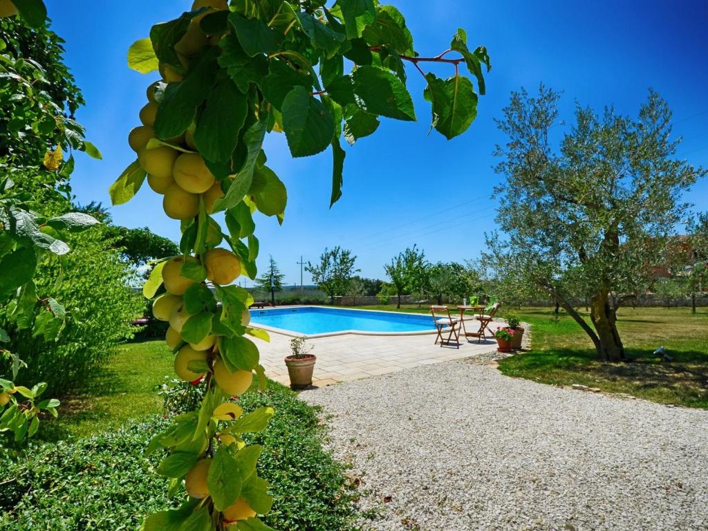 Villa Benka, Istrian stone house, Tinjan (updated prices 2025)