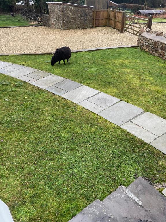 The House on the Common, Coity (updated prices 2025)