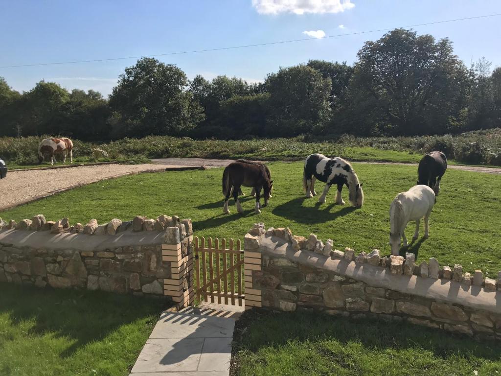 The House on the Common, Coity (updated prices 2025)