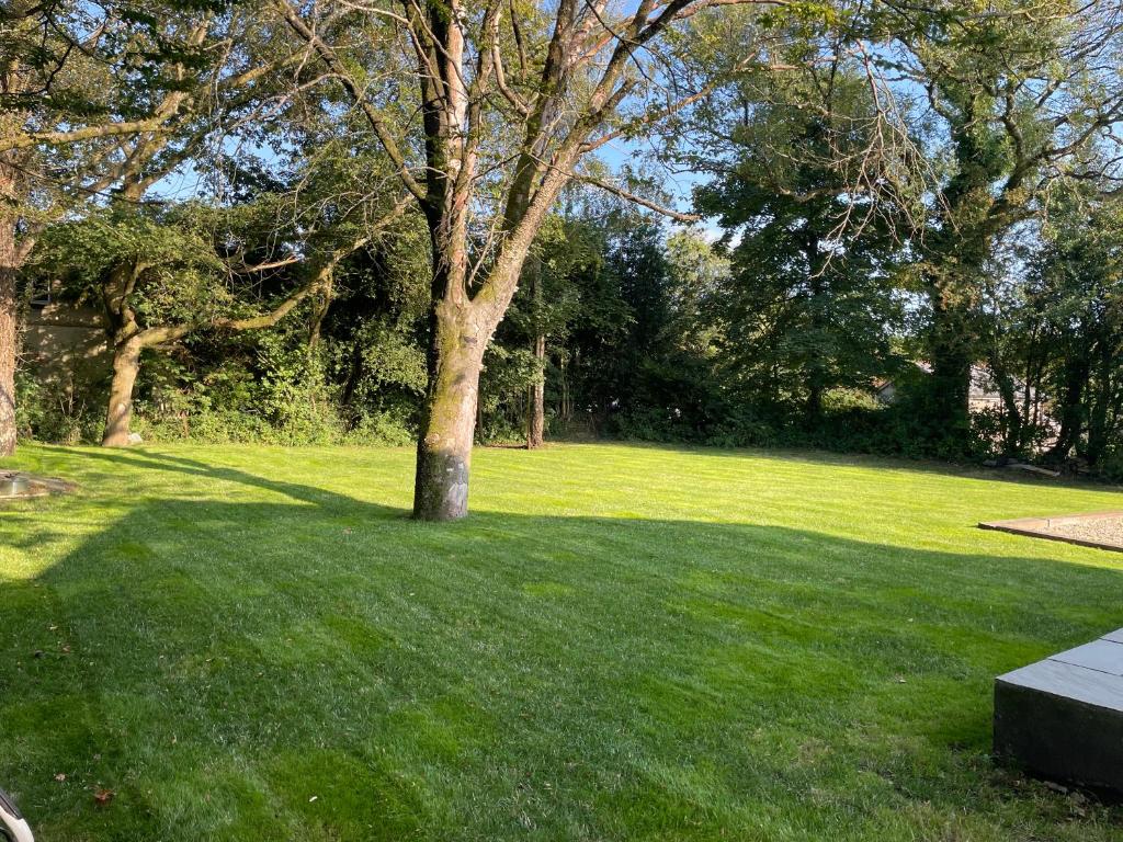 The House on the Common, Coity (updated prices 2025)