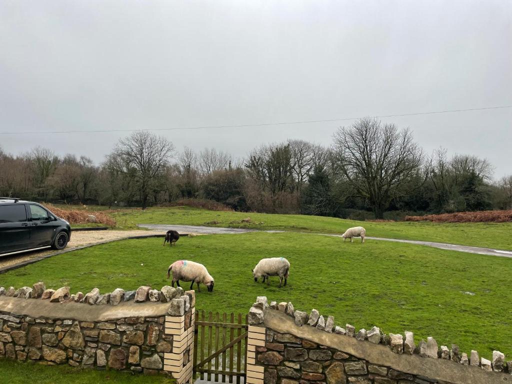 The House on the Common, Coity (updated prices 2025)