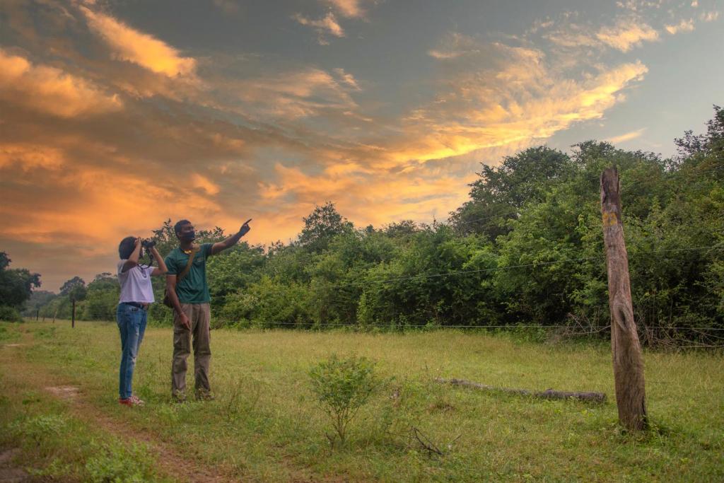 Mahoora Yala - by Eco Team, Yala (updated prices 2025)
