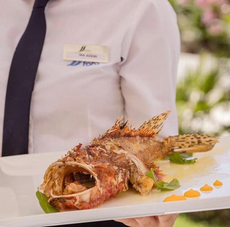 Fafa Premium Hotel & SPA, Golem (updated prices 2024)