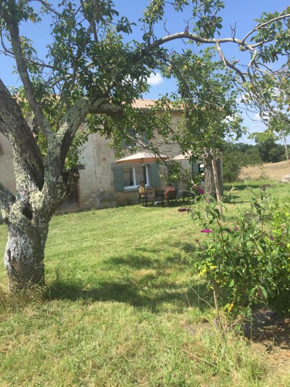 116 Las Combes Entre Bastides, Vignes Et Forêts - Gaillac
