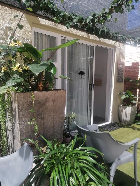 The Oak Treehouse BnB Queenstown, Queenstown (updated prices 2025)