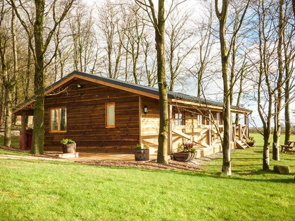 Valley View Lodge, Trelystan (updated prices 2025)