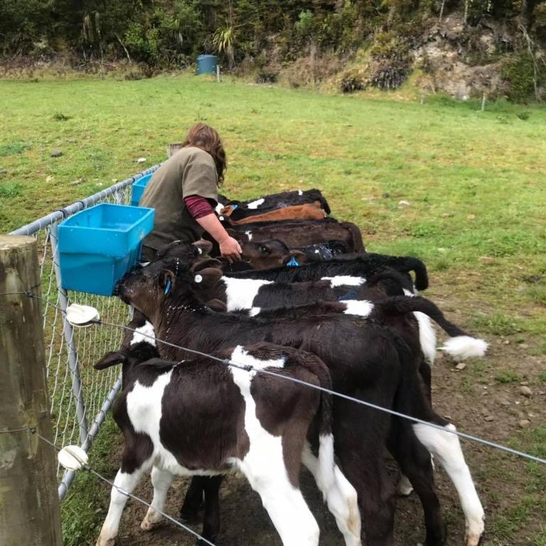 Ahaura Lodge & Waterwheel Farm Stay, Totara Flat (updated prices 2025)