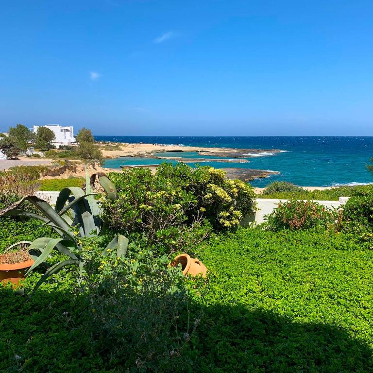 MILORA SuNSET, Pollonia (updated prices 2025)