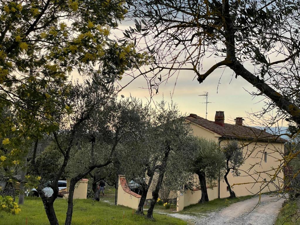Tuscan Villa With Jacuzzi Among The Olive Trees - Vinci