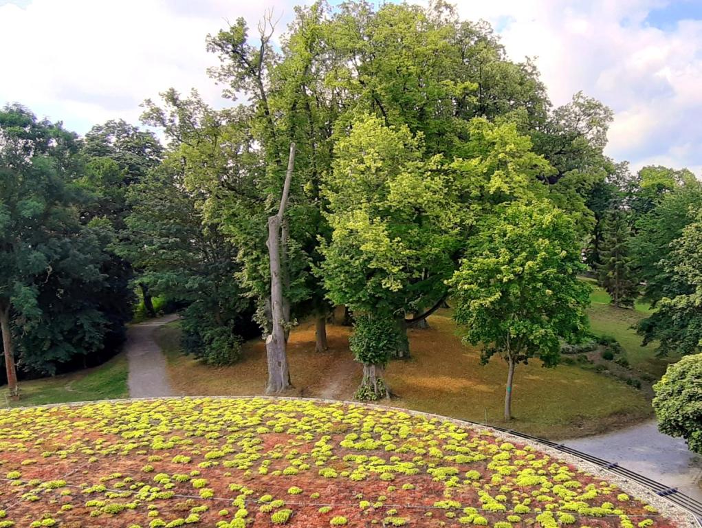 Schloss Geisa, Geisa (updated prices 2025)