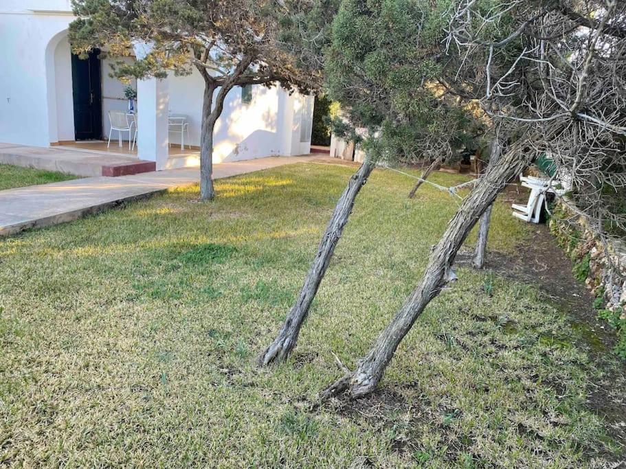 Apartamento con piscinas, al lado de la playa. Segunda linea de mar. - Minorca