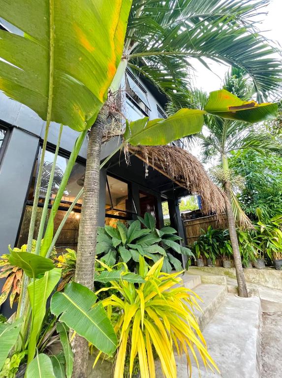 Dayon Hostel, Coron – Updated 2024 Prices