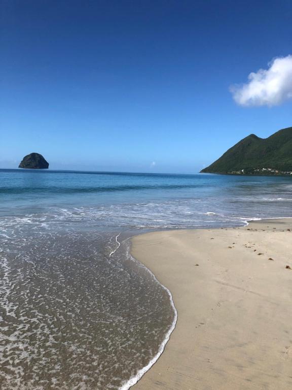 Carline, Le Diamant (updated prices 2025)