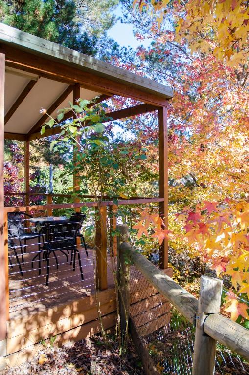 BIG4 Tasman Holiday Parks - Bright, Bright (updated prices 2024)