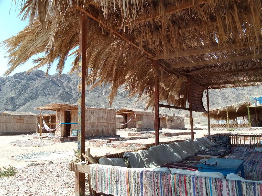 Husha Shanti Camp, Dahabas (atnaujintos 2024 m.kainos)