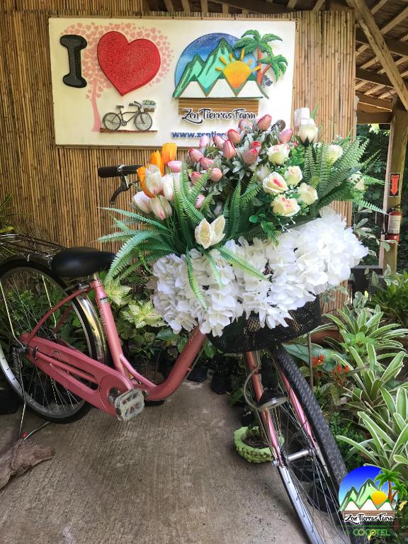 Zen Tierras Farm powered by Cocotel, Dingalan (updated prices 2025)