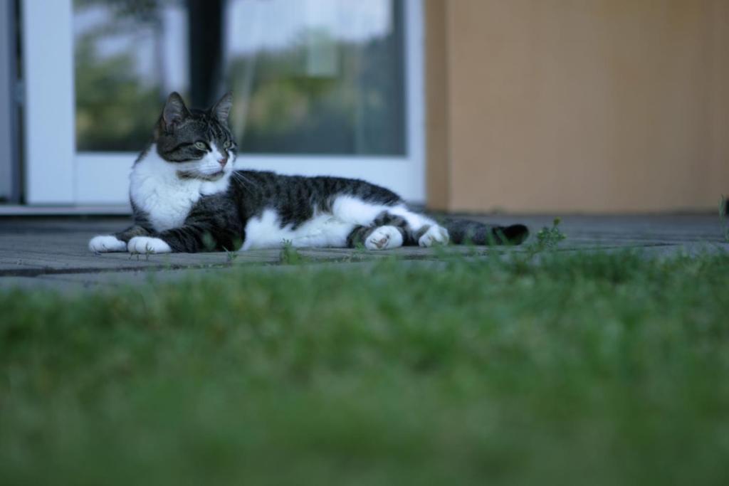 Rech Hof Urlaub auf dem Bauernhof, Schalkenbach (updated prices 2025)