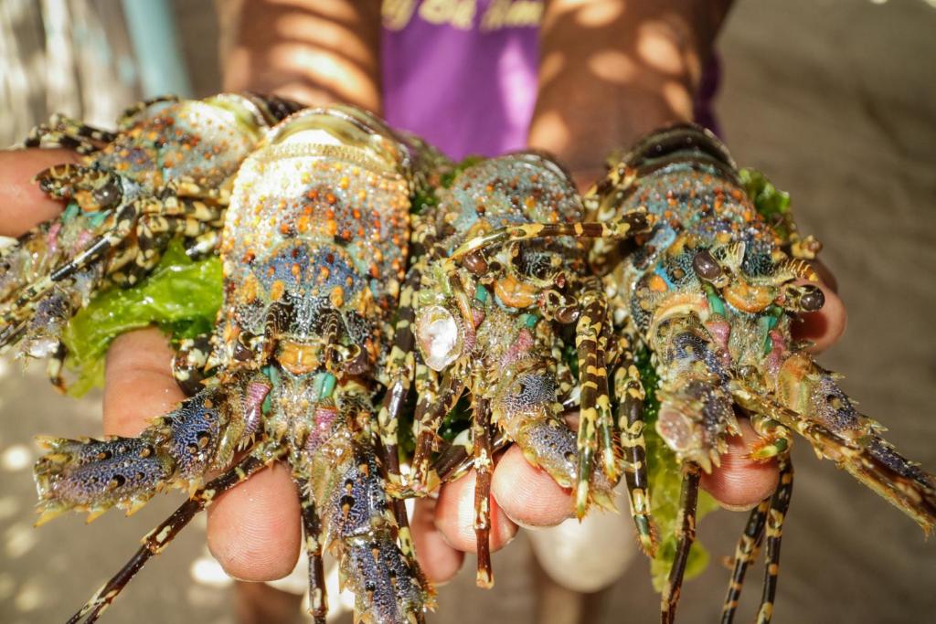 Paka House-Rafiki Village, Watamu (updated prices 2025)