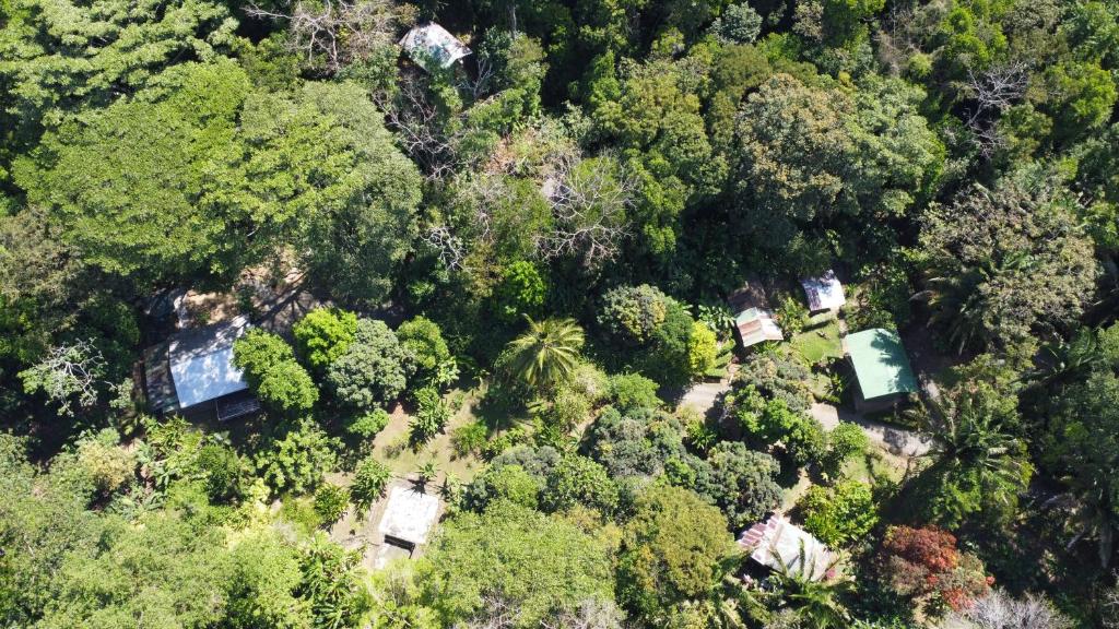 Finca la Bonita, Playa Carate, Carate – Updated 2022 Prices