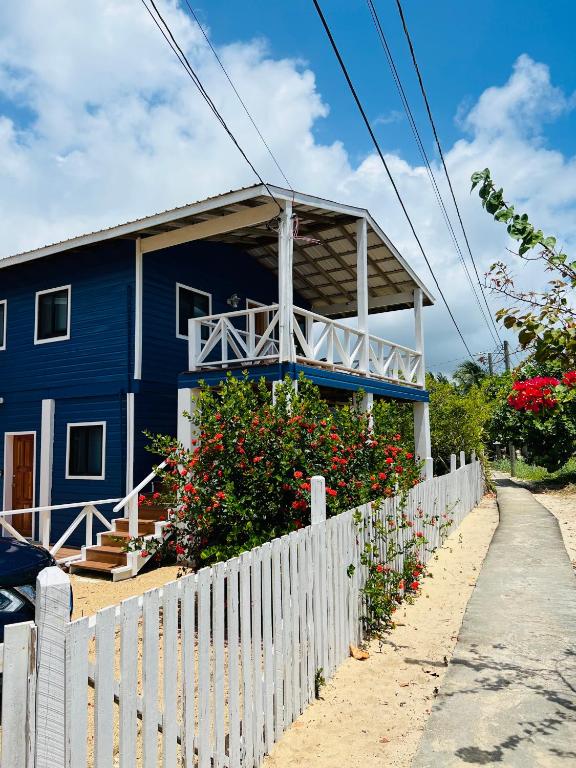 The Flying Toucan - Placencia