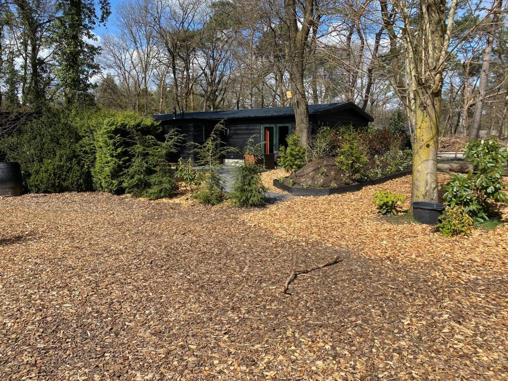 De Veluwse bos Lodge, Otterlo (updated prices 2026)