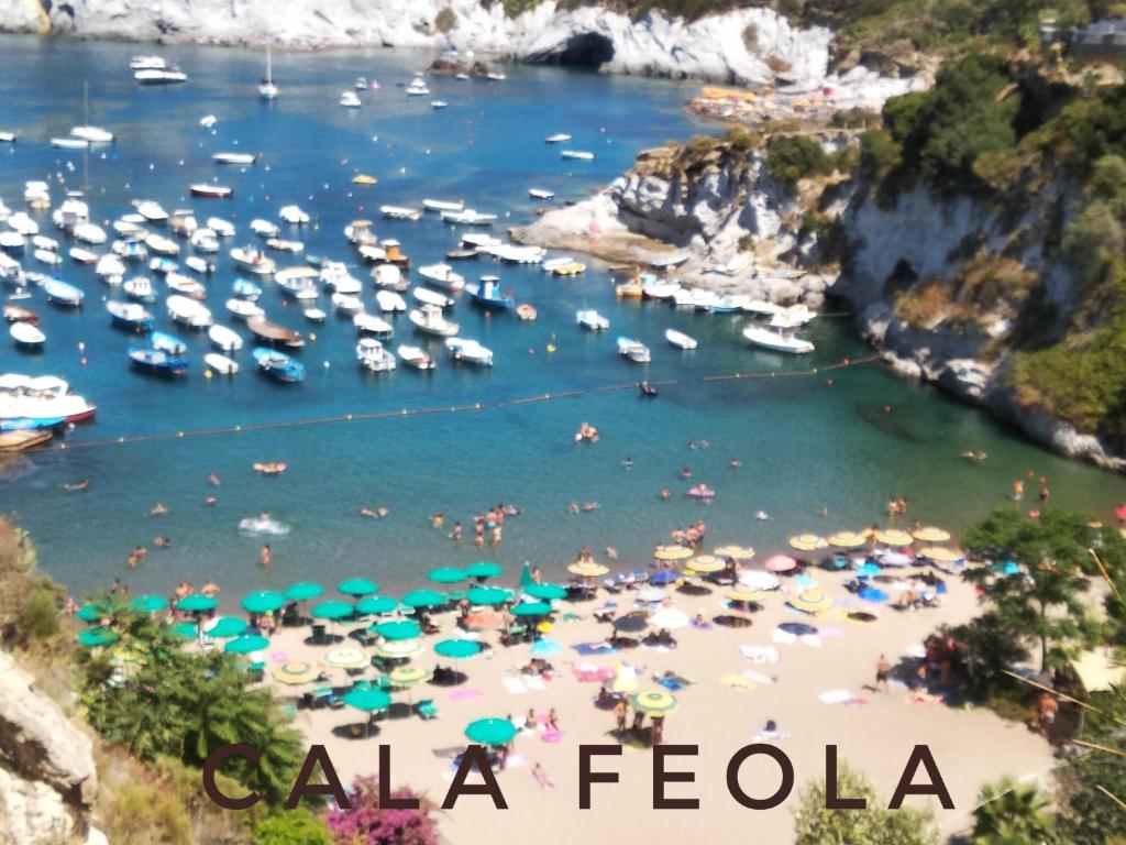 Ponzacasevacanze Appartamenti alla spiaggia di Cala Feola, Ponza ...