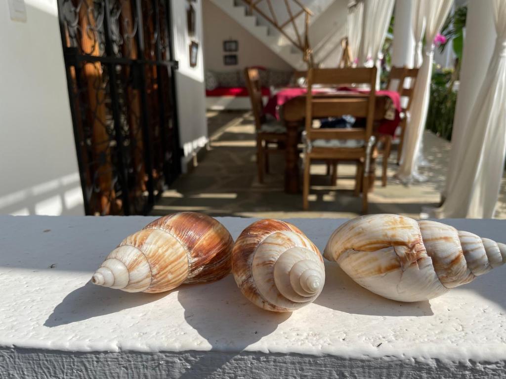 Paka House-Rafiki Village, Watamu (updated prices 2025)