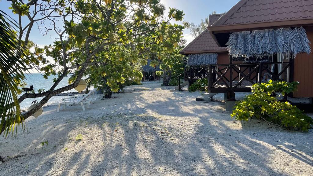 FLY FISHING ANAA TOKU KAIGA, Tukuhora (updated prices 2025)