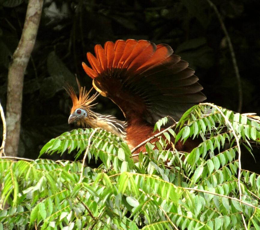 Yarina Eco Lodge, Derna (updated prices 2025)