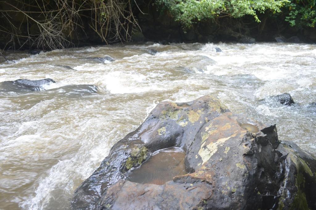 Pacha Waterfront Nithi, Chuka – Updated 2023 Prices