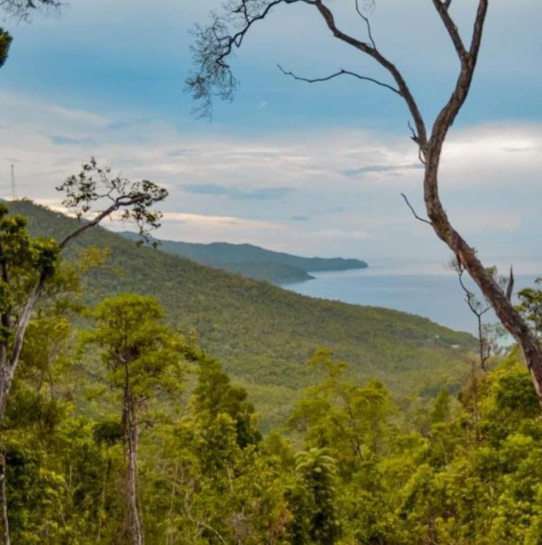 Bamboo house, Bacungan (atnaujintos 2024 m.kainos)
