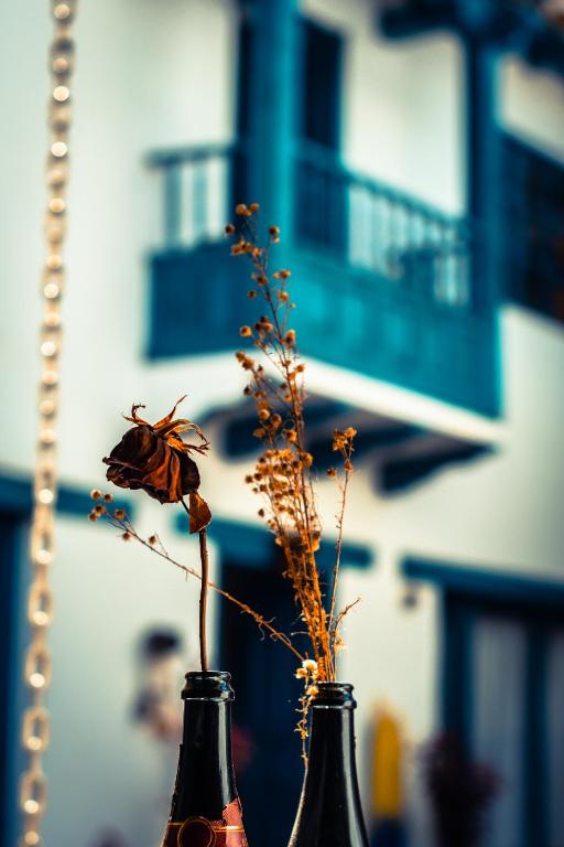 Alojamiento Entero Turquesa Hostal Boutique - Villa de Leyva