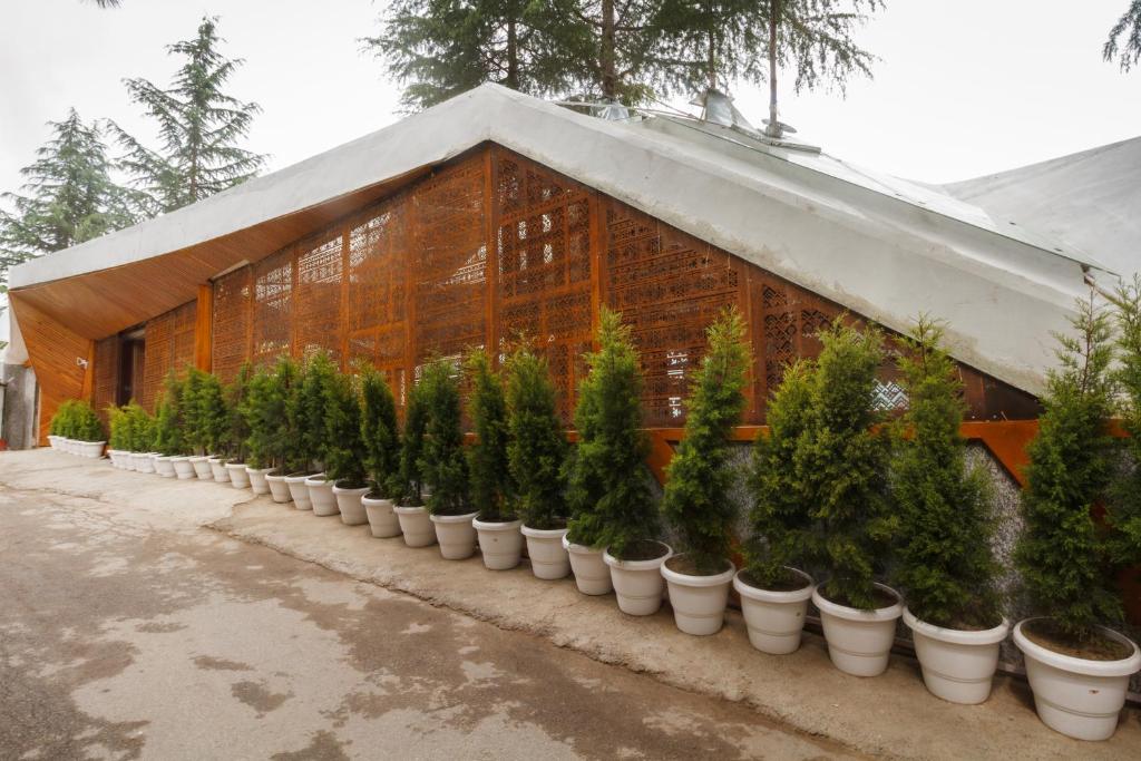 Tree of Life Eila Art Hotel, Manali, Nagar (tarifs actualisés, 2025)