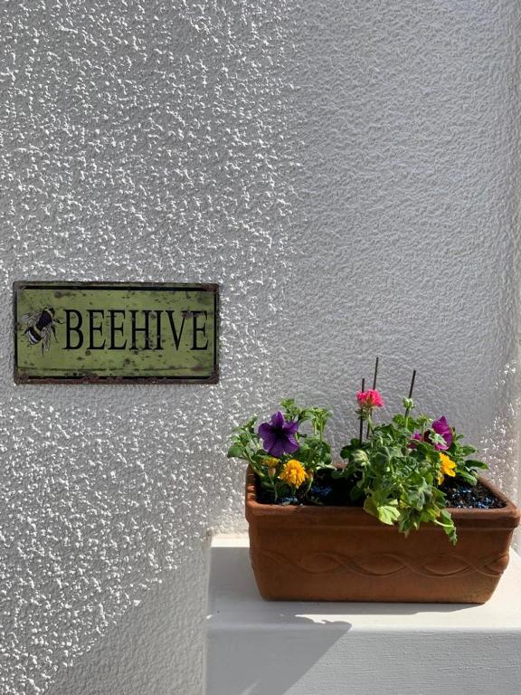 The Beehive - Self Contained Studio by The Sea, Exmouth – Updated 2022 ...
