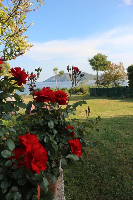 Iraklitsa View, Iraklitsa (updated prices 2025)