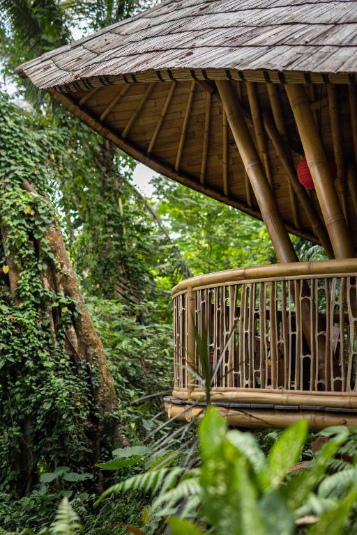13 Tree Houses in Bali for Unique Staycation Experience