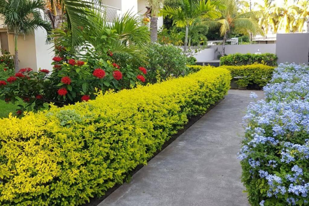 Lovely 3-bedroom Apartment With Pool - Mauritius