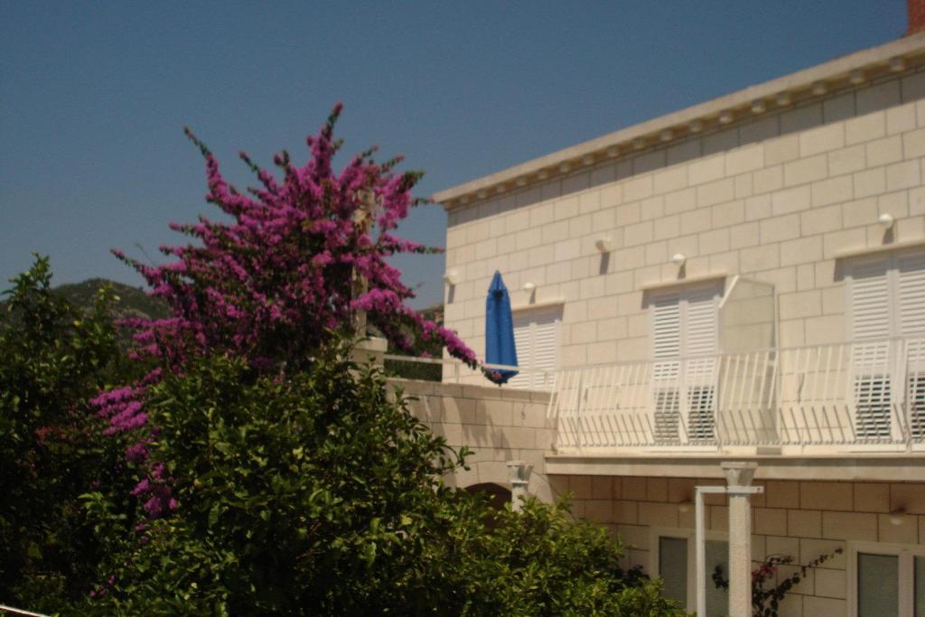 Apartments Husanovic in - Traveleto