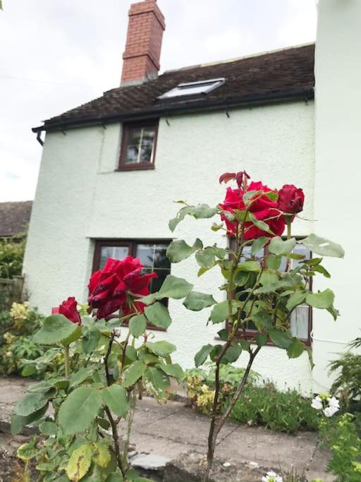 Seifton View Cottage, Culmington, Ludlow, Culmington – Updated 2024 Prices