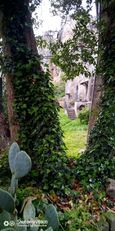 Casa Vittoria, Calcata (aktualisierte Preise für 2026)